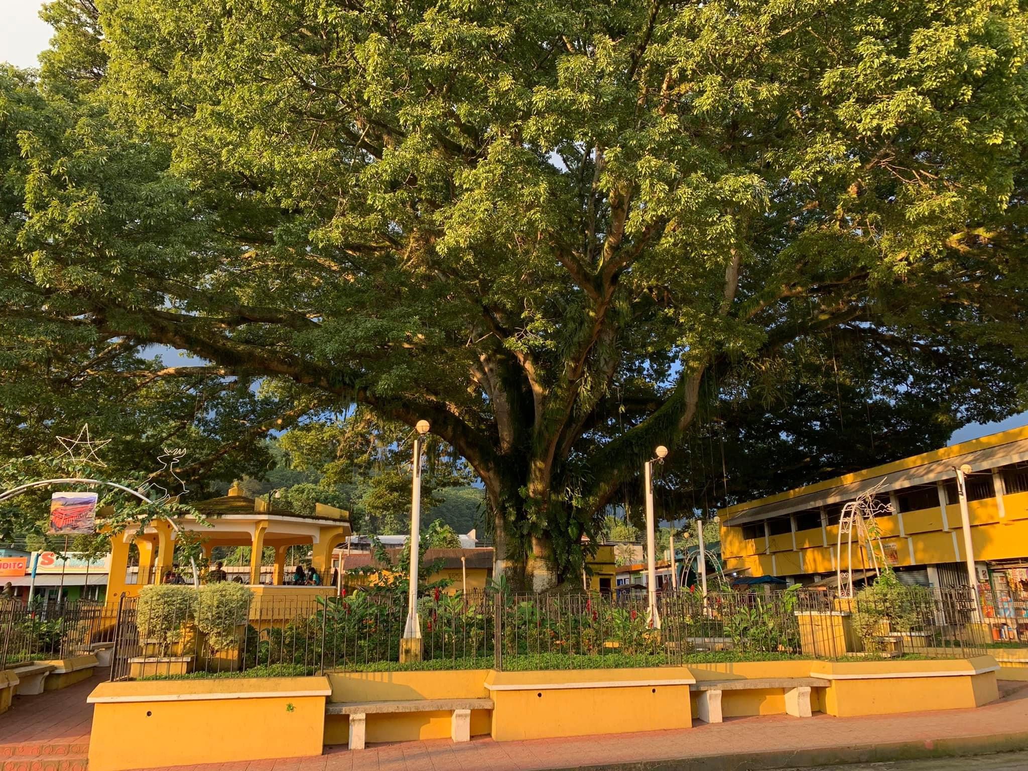 NUESTRO MUNICIPIO – Municipalidad de San Miguel Pochuta